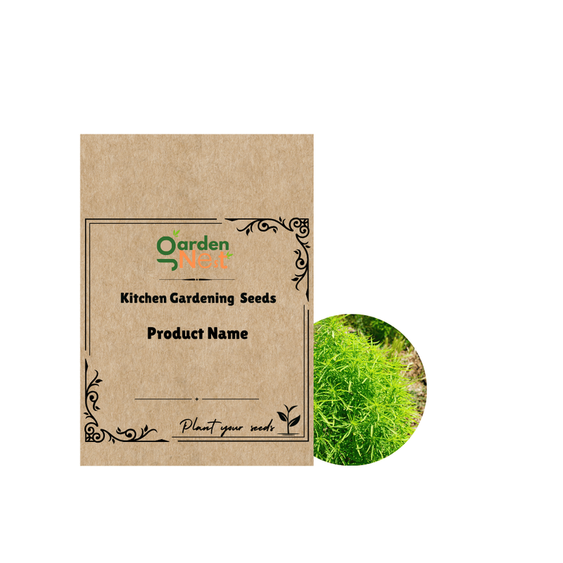 Gardennest NM-Kochia Fire Bush Summer Seeds - Garden Nest